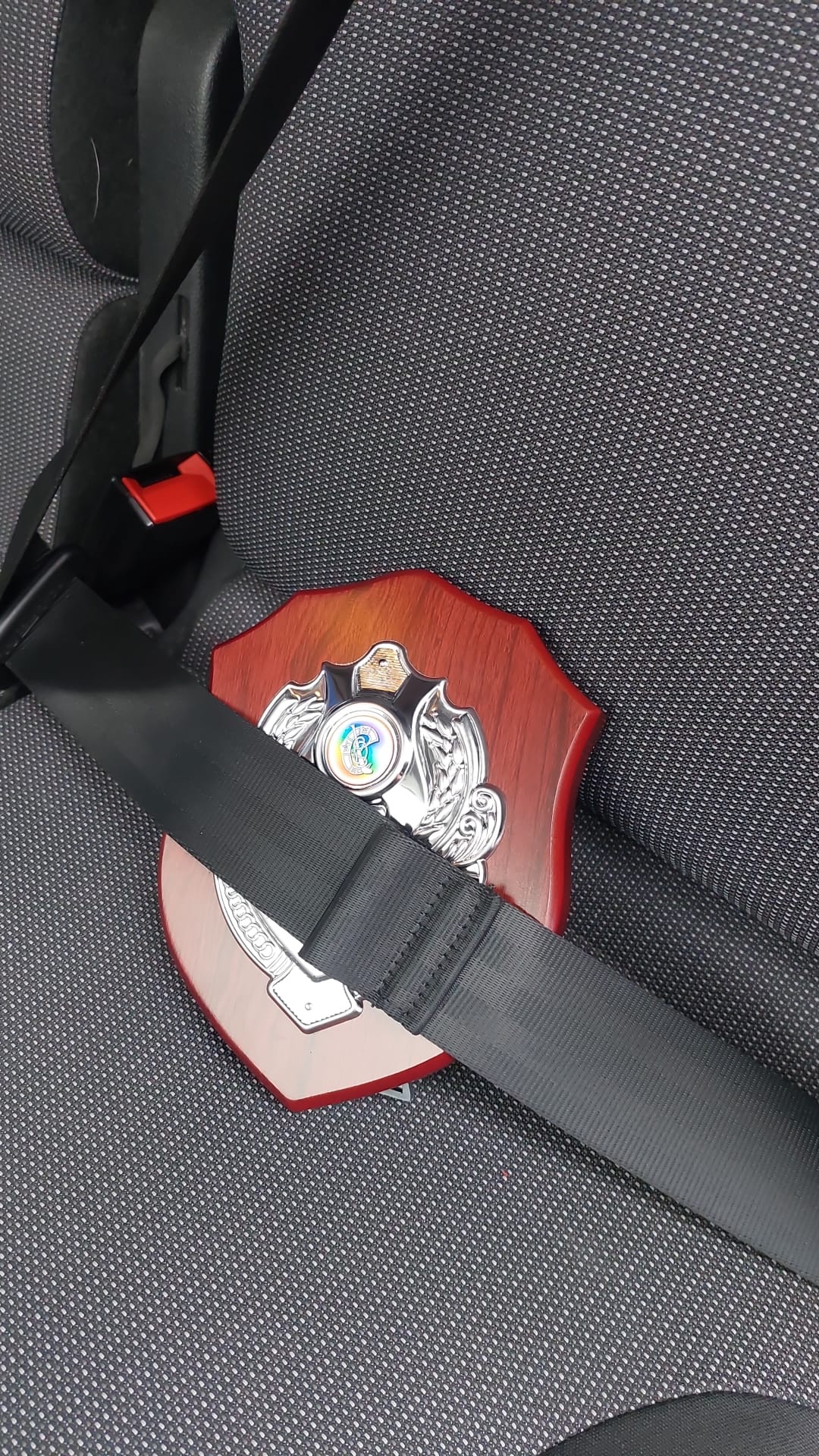 U13 Camogie Shield win – Crumlin GAA