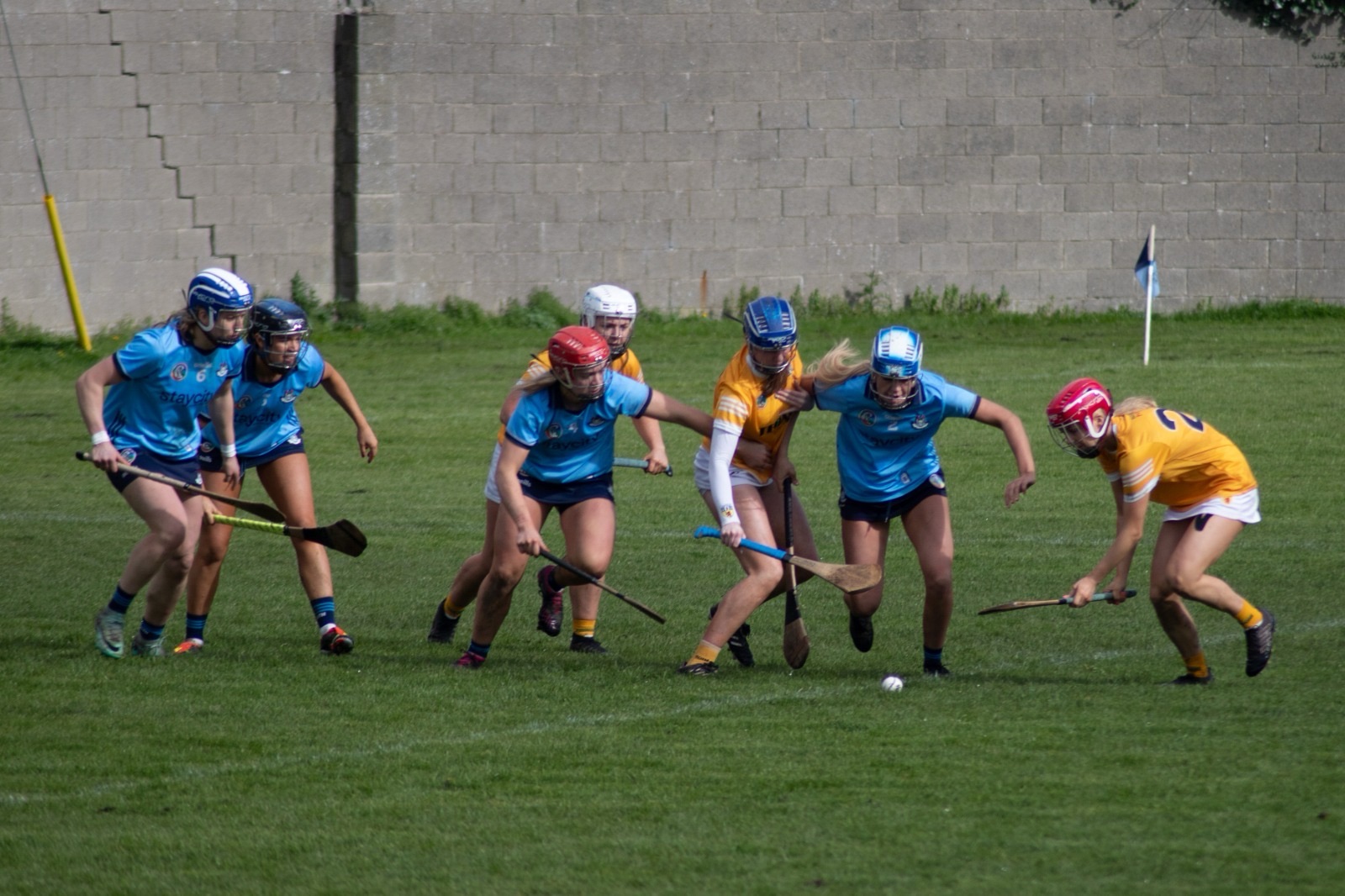 Dublin Senior Camogie in O’Toole Park – Crumlin GAA